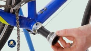 Breaking Down the Anatomy of the Bicycle - On Your Left